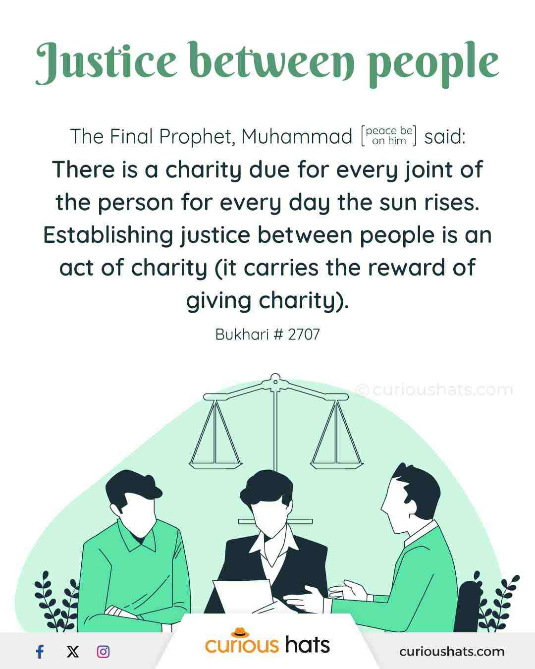 Social Behavior | Curious Hats